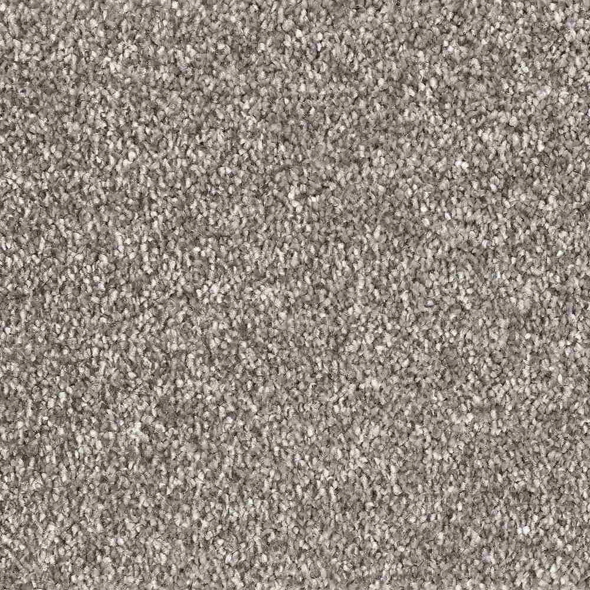 Lano Serenade Carpet - Granite – Exen Flooring